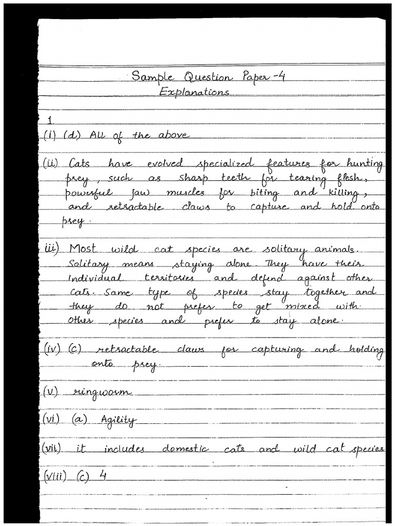 Sample Question Paper 4 (Explanations) | PDF