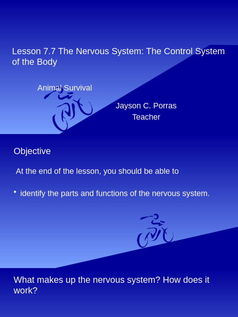 Understanding the Nervous System | PDF | Central Nervous System ...