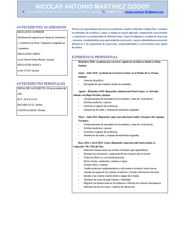 Curriculum Nicolas Martinez Godoy | PDF