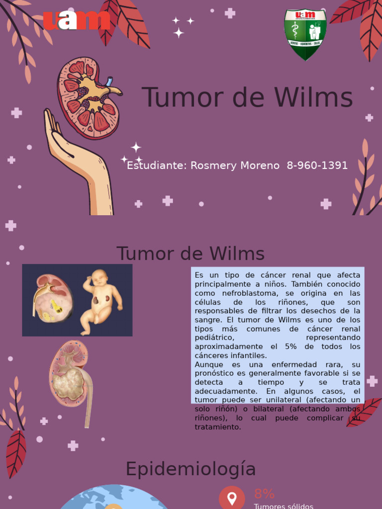 Tumor de Wilms: Cáncer Renal Infantil | PDF | Neoplasias | Medicina