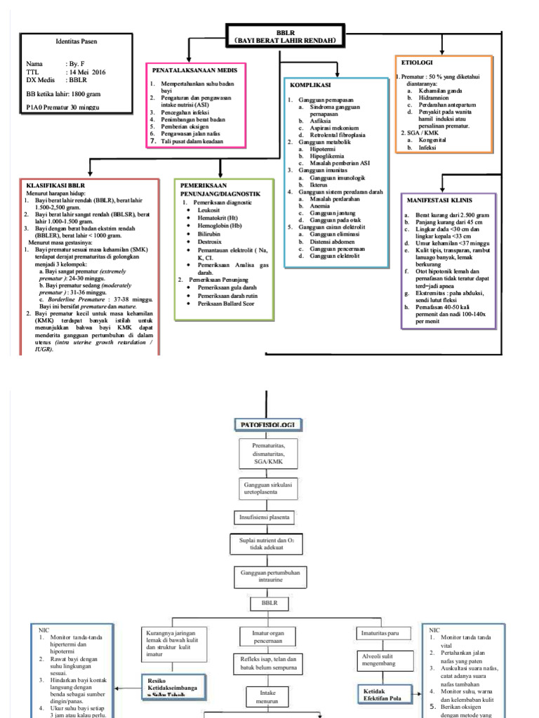 PDF Woc Web of Caution BBLR Bayi Berat Lahir Rendah - Compress | PDF