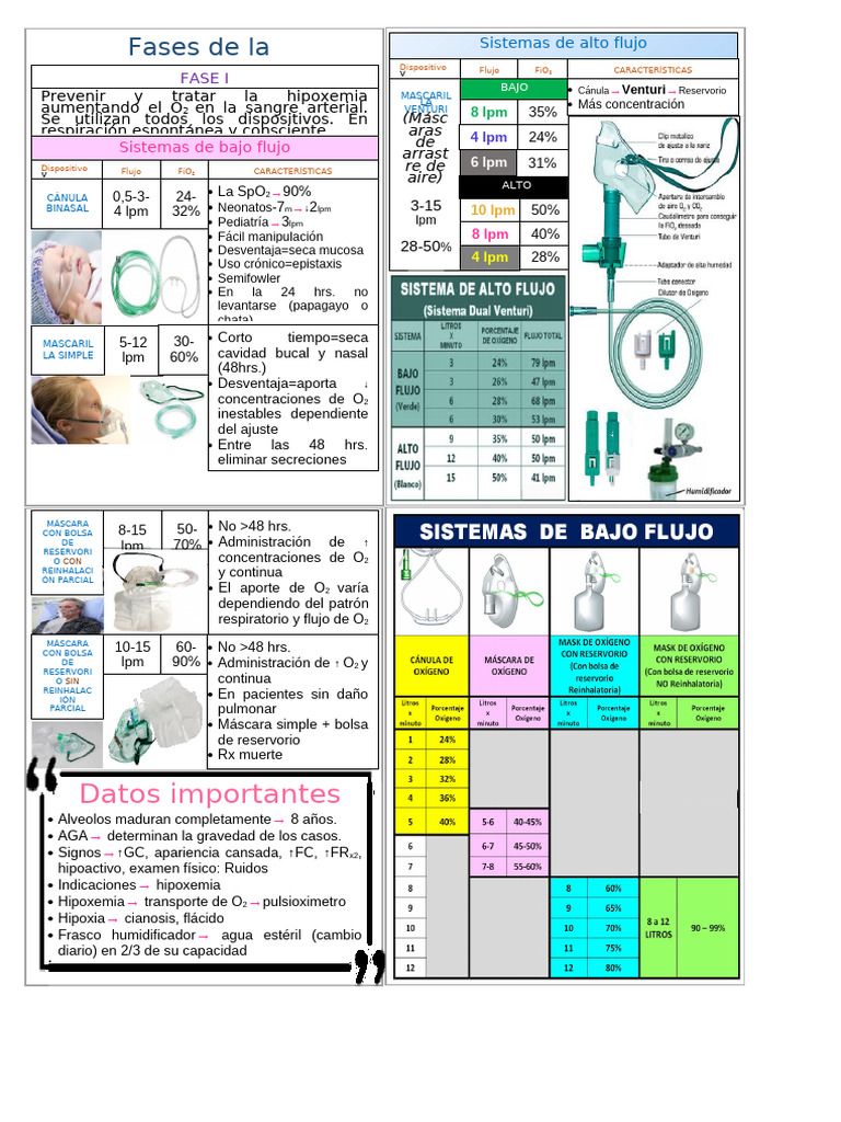 Libreta Procedimientos | PDF | Respiración | Sistema respiratorio