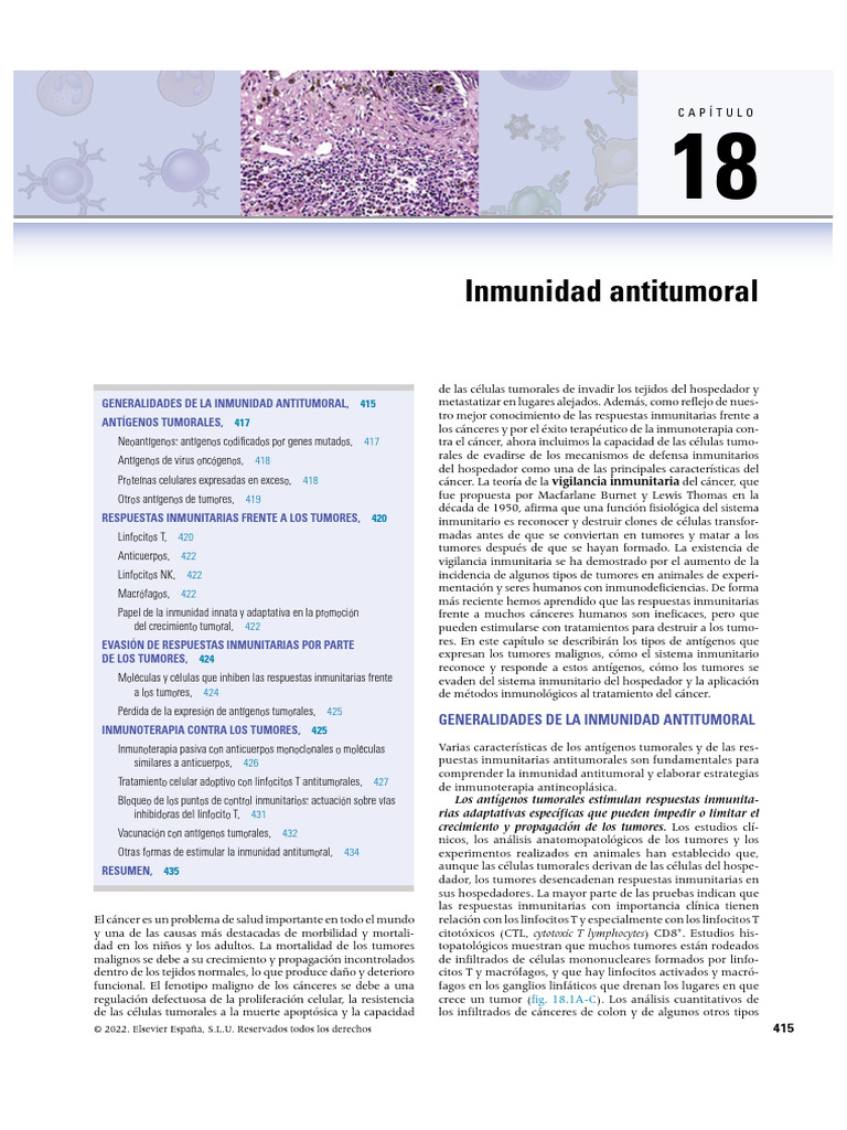 T13 Lectura 1 Respuesta Antitumoral Abbas 2022 | PDF | Sistema inmune ...