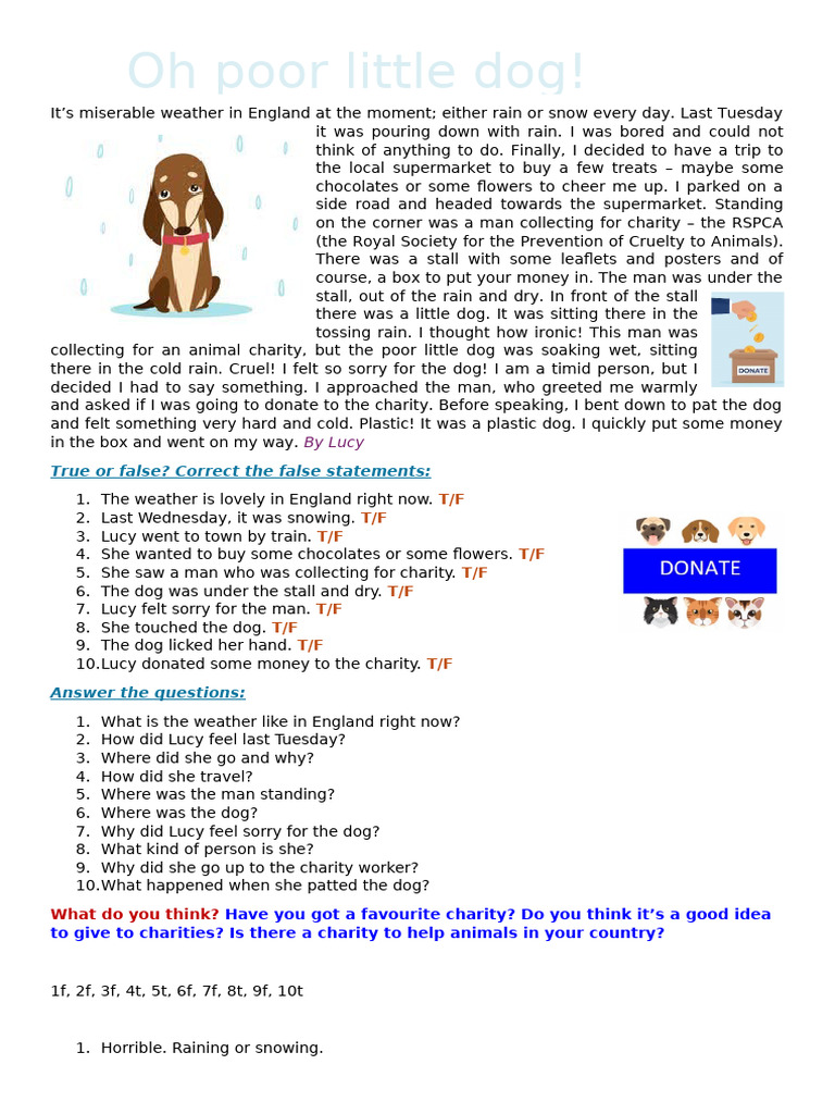 Reading Comprehension Oh Poor Little Dog - 160457 | PDF