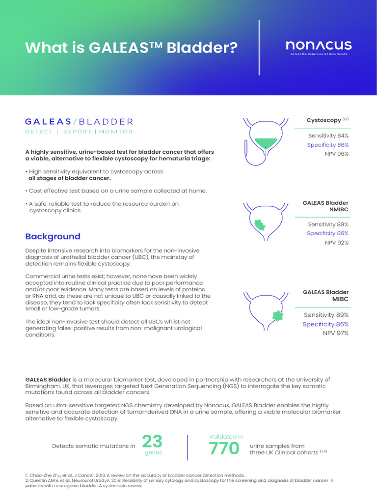 Galeas Bladder Flyer | PDF | Cancer | Medical Specialties