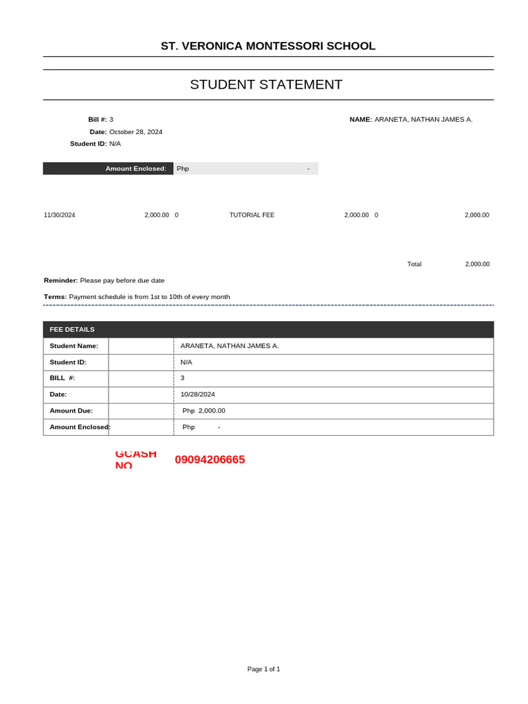 STUDENT STATEMENT NATHAN JAMES August 10, 2024 | PDF