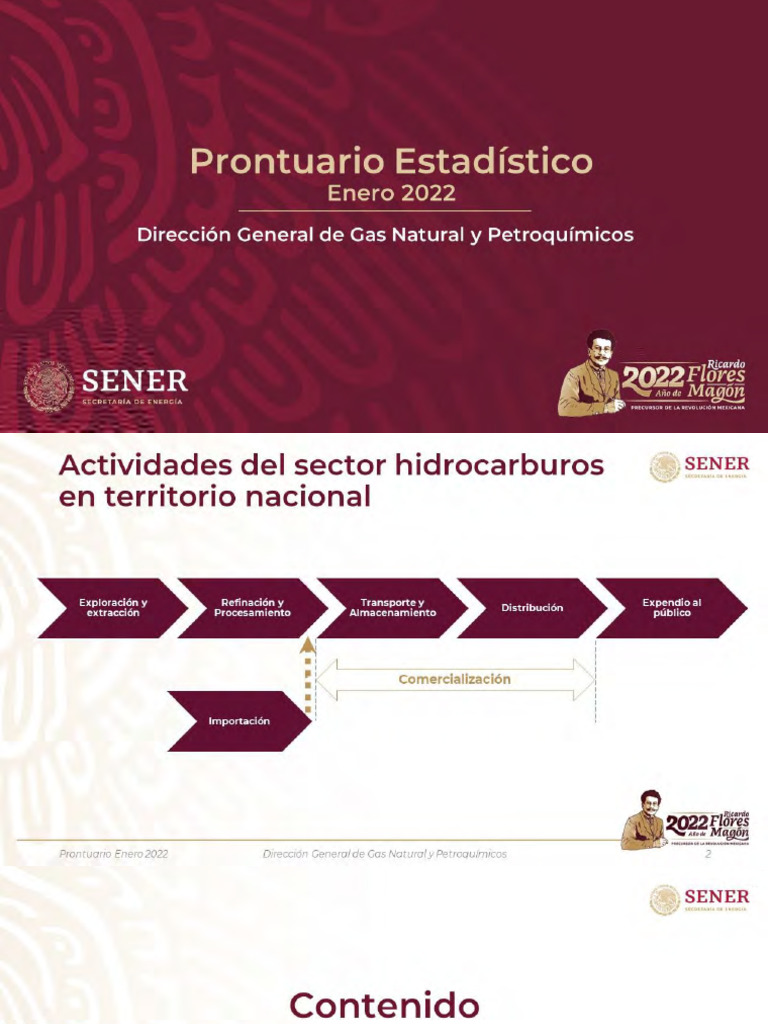 SENER 02 202201ProntuarioenFormatoInstitucional Feb22 | PDF
