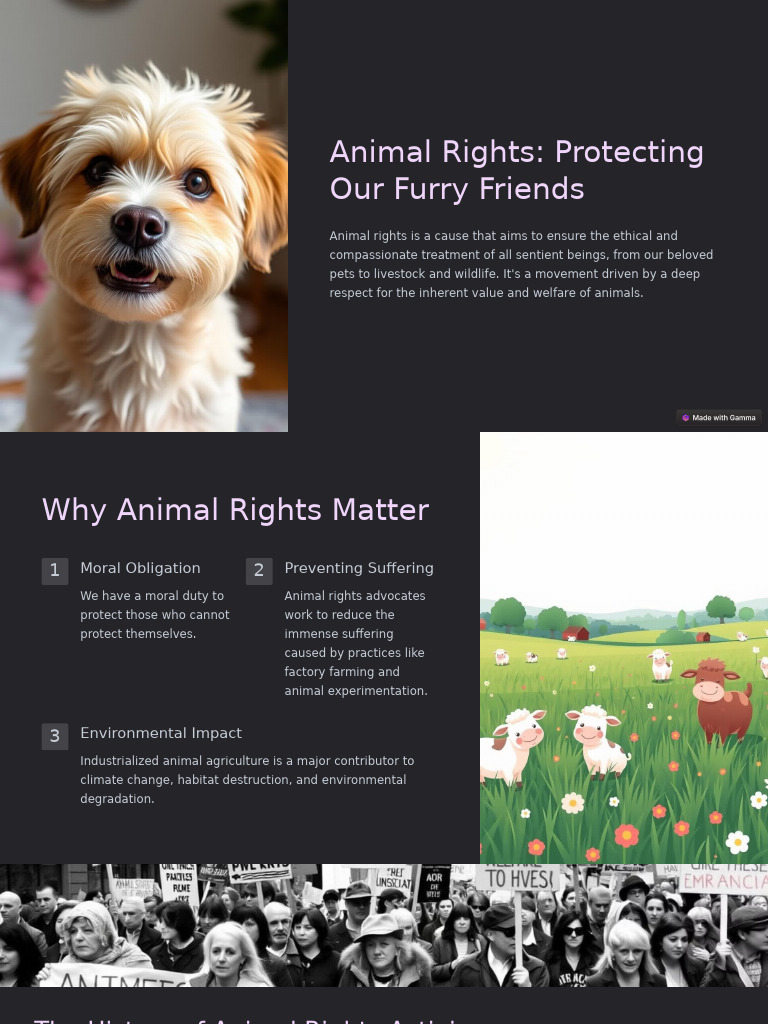 Animal Rights Protecting Our Furry Friends | PDF | Animal Rights ...