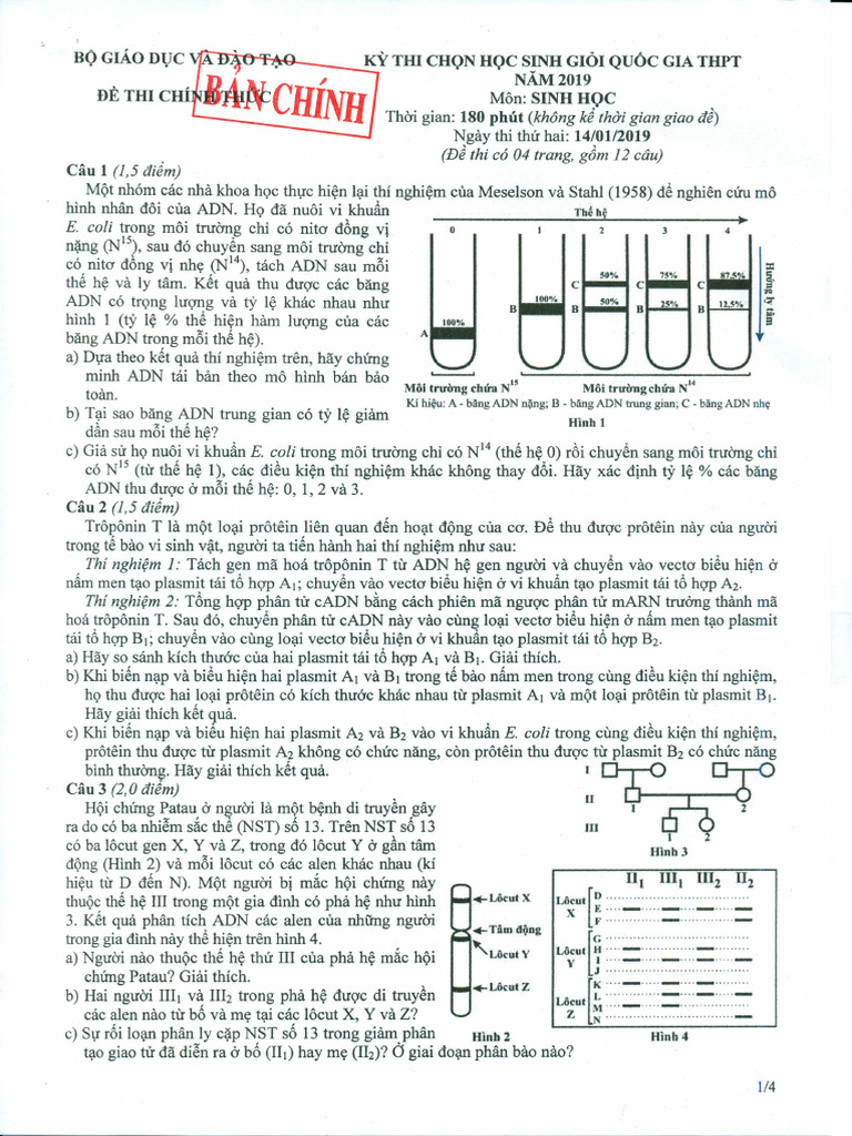 Sinhhoc - 14 01 2019 | PDF