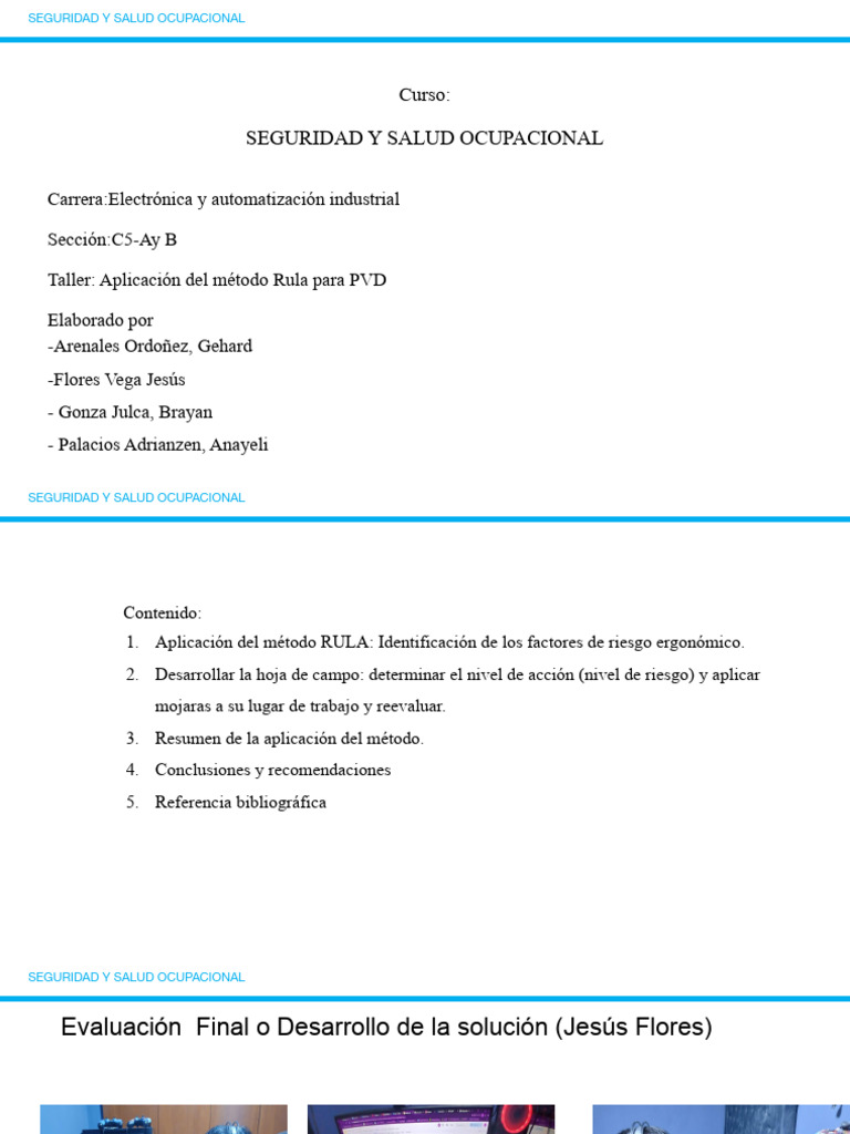 Metodo Rula | PDF | Factores humanos y ergonomía | Seguridad y salud ...