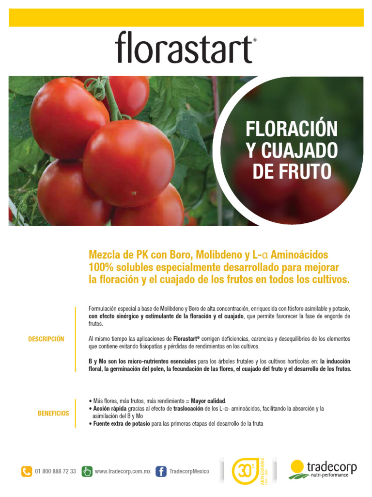 Folleto Florastart LQ | PDF | Flores | Botánica