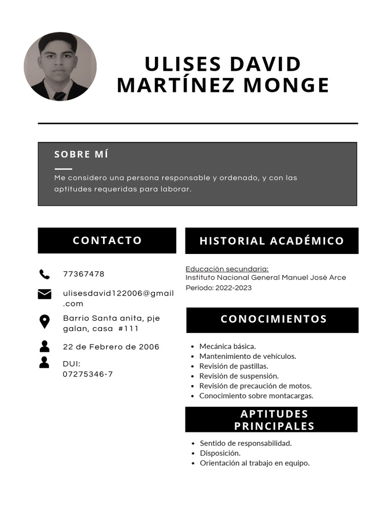 Curriculum Ulises-1 | PDF