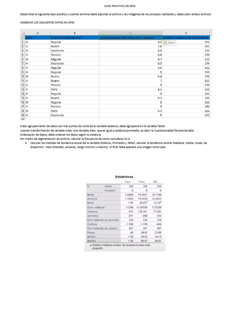 Caso 2 SPSS | PDF