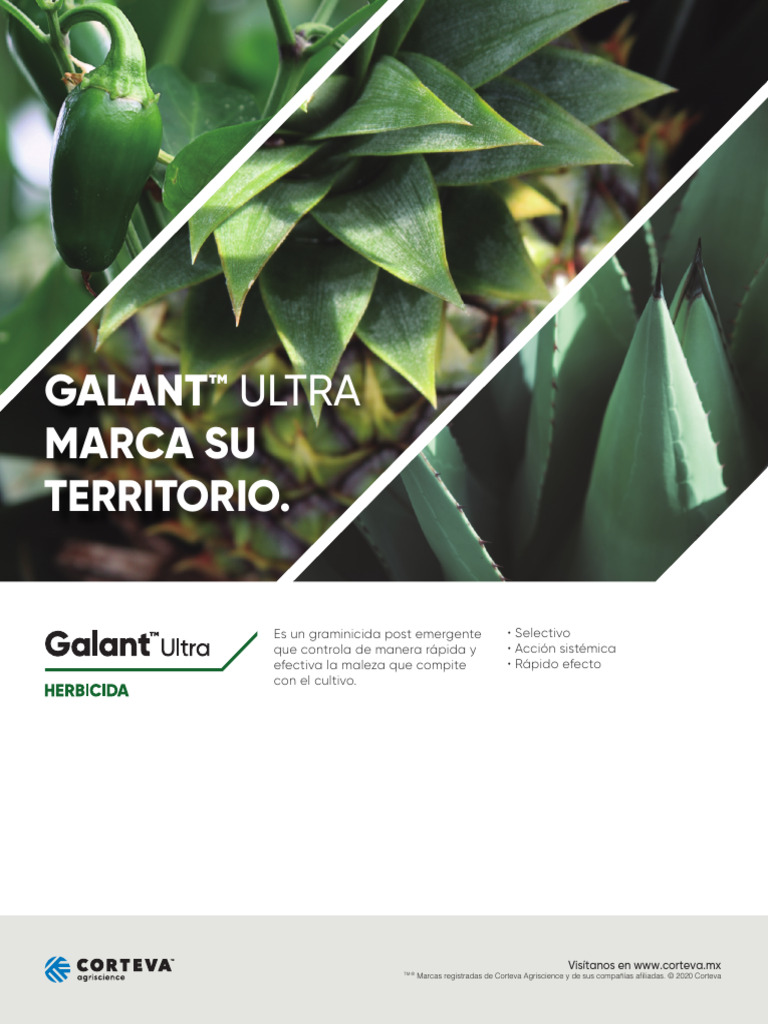 Folleto Galant Ultra | PDF | Agricultura | Botánica