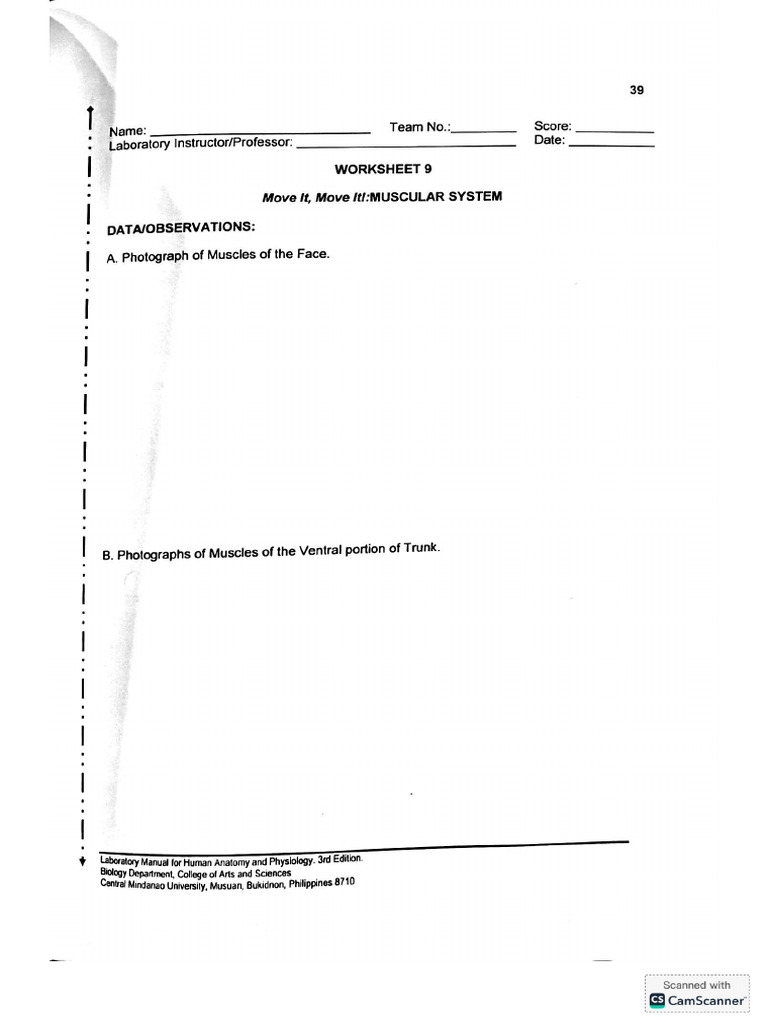 Muscular Labsheet | PDF