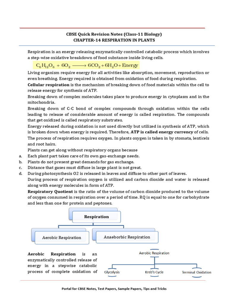 CBSE Class 11 Biology: Plant Respiration | PDF | Glycolysis | Cellular ...