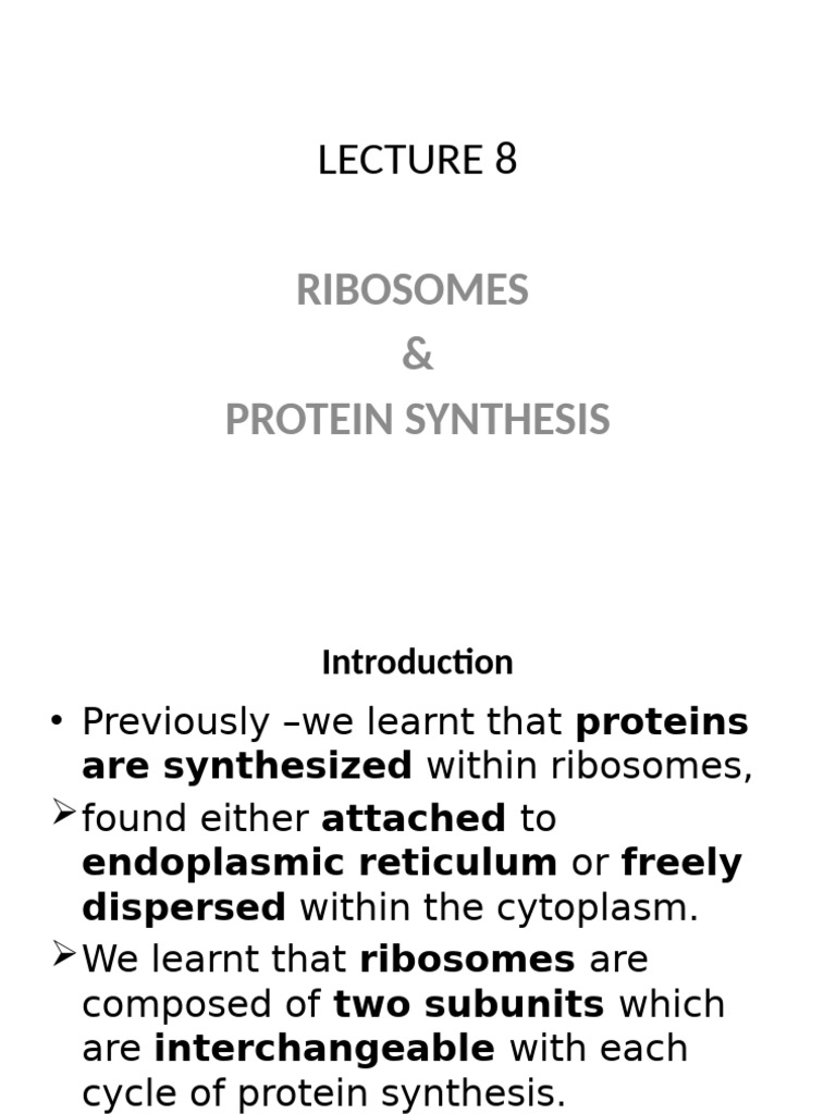 LECTURE 8 Ribosomes & Proteinsynthesis | PDF | Translation (Biology ...