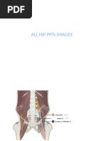 Dysport Dilution and Dosing Guide | PDF | Botulinum Toxin | Foot