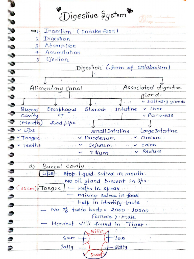 Digestion Nutrition Excretion Endocrinology Pdf