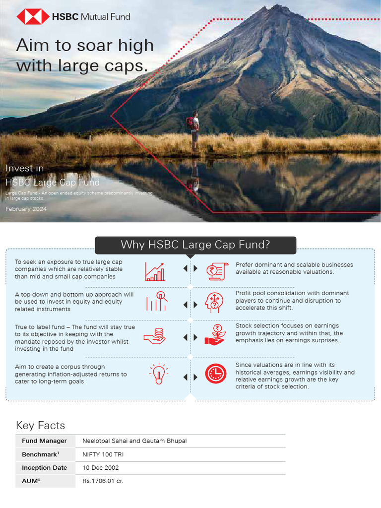 One Pager HSBC Large Cap Fund Feb 2024 | PDF | Investing | Stocks