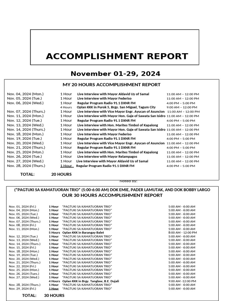 November 2024 Accomplishment Report | PDF