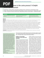 BSP Flowchart Implementing The 2018 Classification | PDF