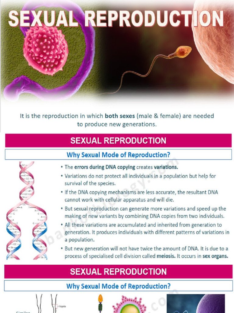How Do Organisms Reproduce | PDF
