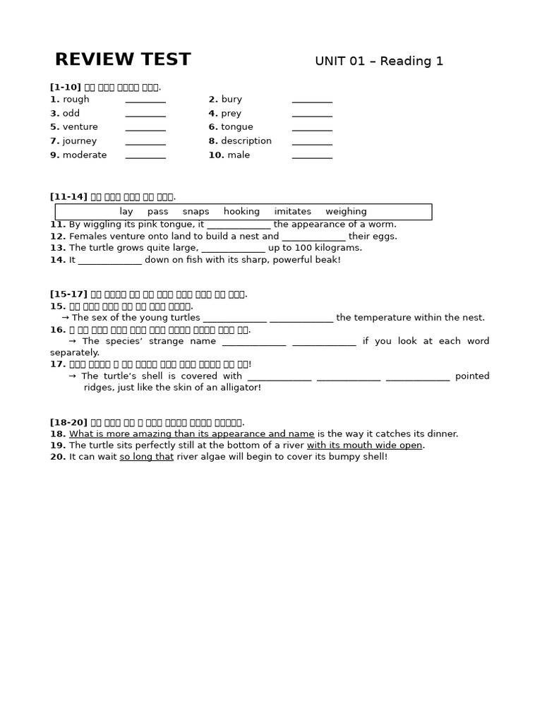 L3 - Review Test | PDF