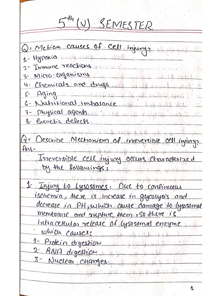 Pathology 5th & 6th Semester Solved SEQâ | PDF