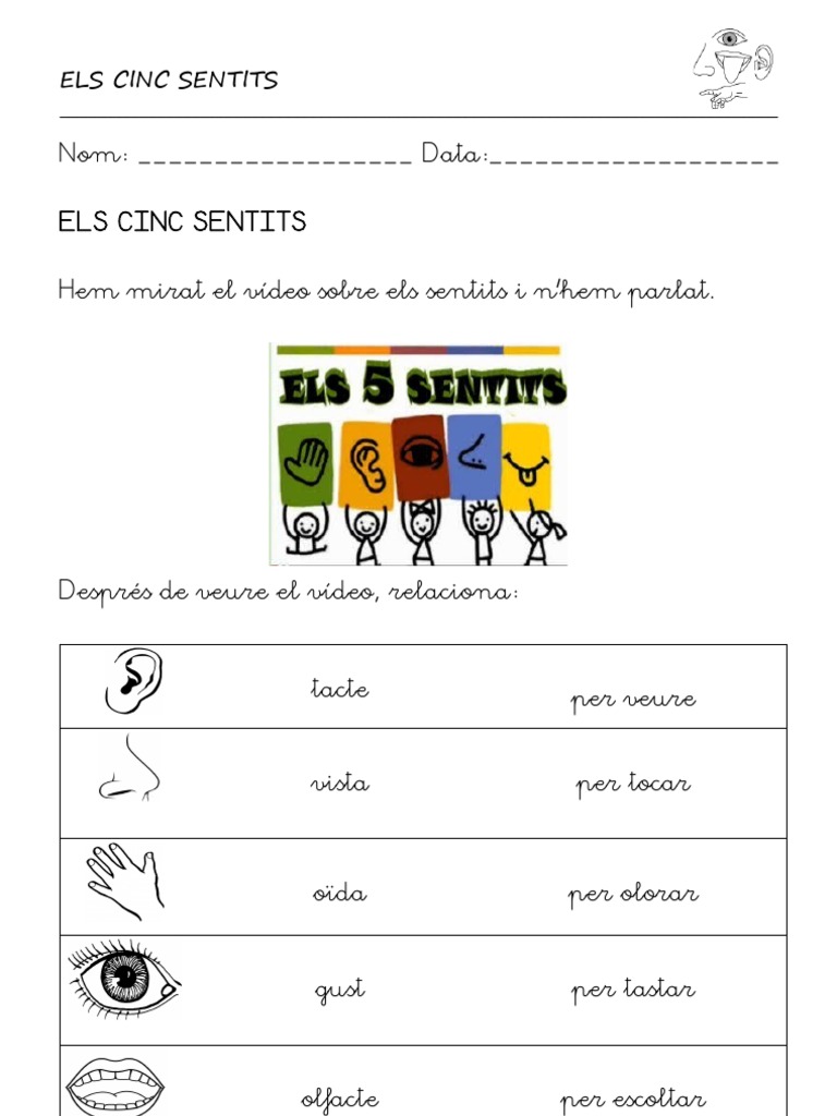Els Cinc Sentits | PDF