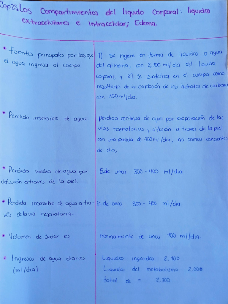 Capitulo 25 Guyton Fisiologia | PDF