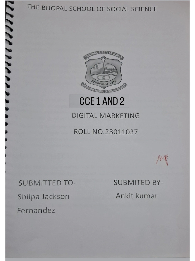 Digital Marketing cc3 | PDF