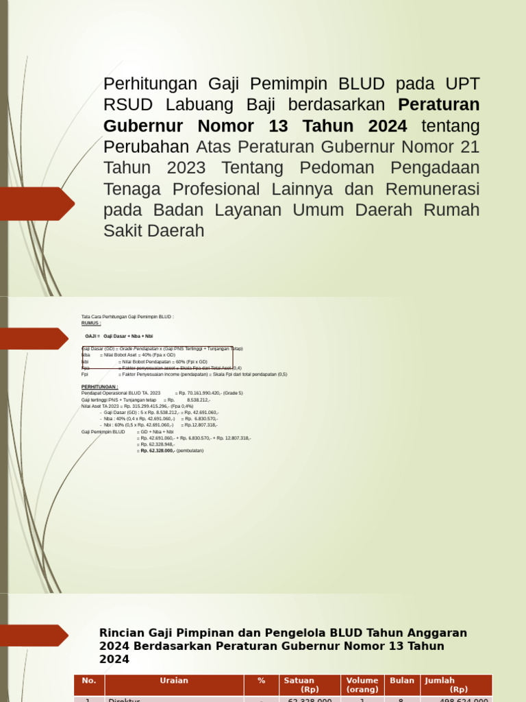 Gaji Pemimpin BLUD RSUD 2024 | PDF