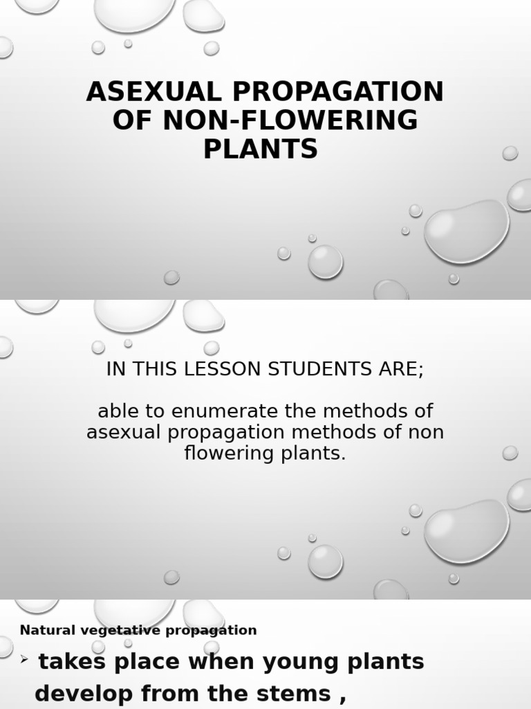 Asexual Propagation Of Non Flowering Plants Edited Pdf