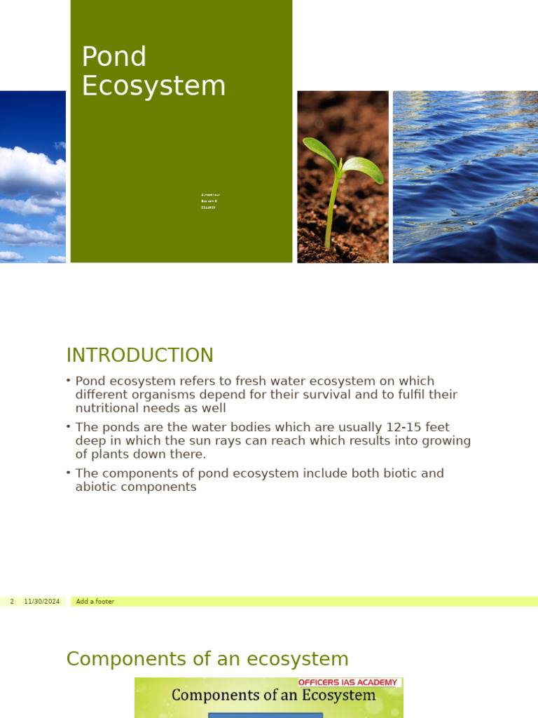 Ecosystem Bsc 5 Sem Botany Pdf Pond Aquatic Ecosystem