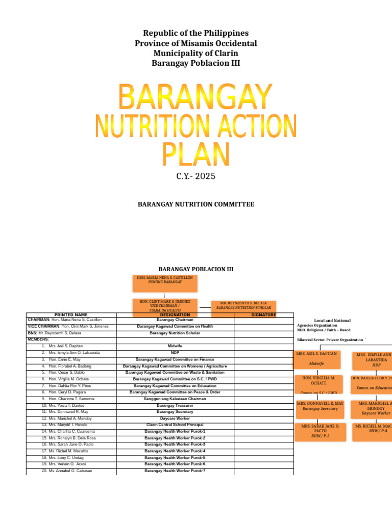 Reynz (Barangay Nutrition Action Plan) | PDF