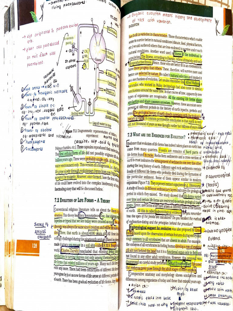 Evolution Ncert | PDF