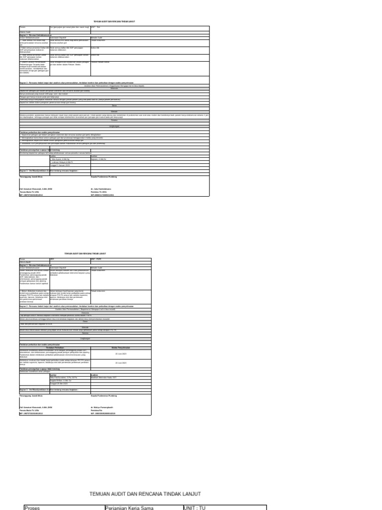 Laporan Hasil Audit Pdf