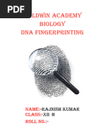 Dna Fingerprinting Bio Project | PDF | Dna Profiling | Dna