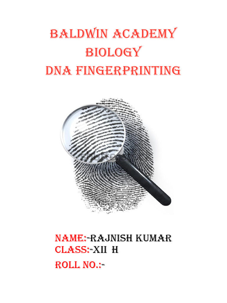 Dna Fingerprinting Bio Project | PDF | Dna Profiling | Single Nucleotide Polymorphism