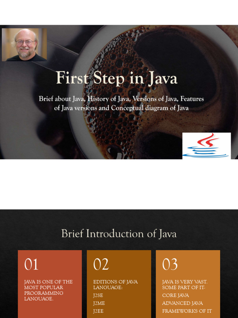 History of Java | PDF
