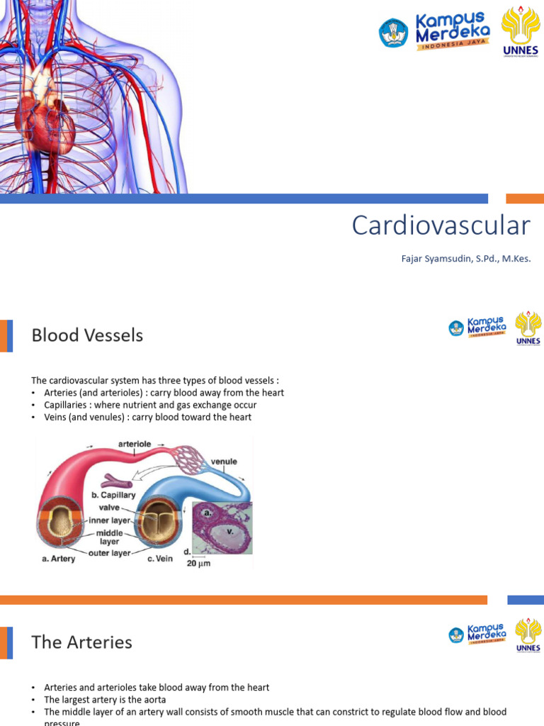 Cardiovaskular | PDF
