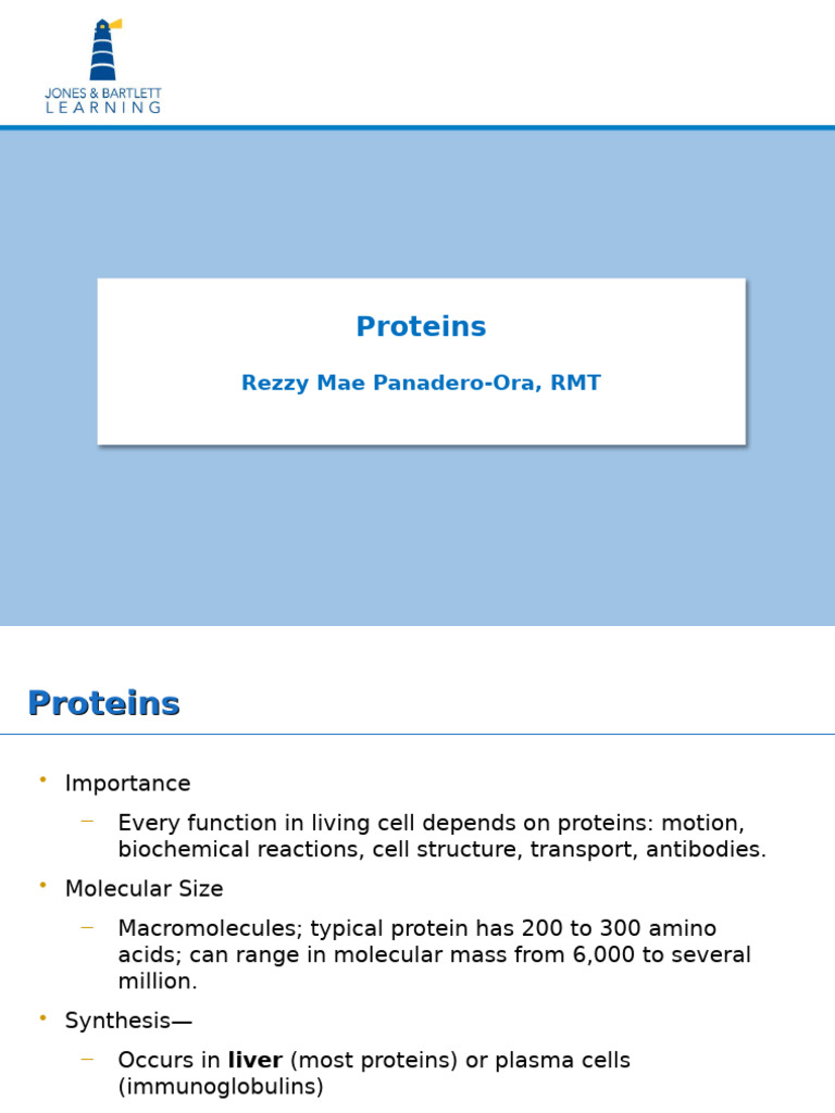 Protein | PDF | Proteins | Protein Structure