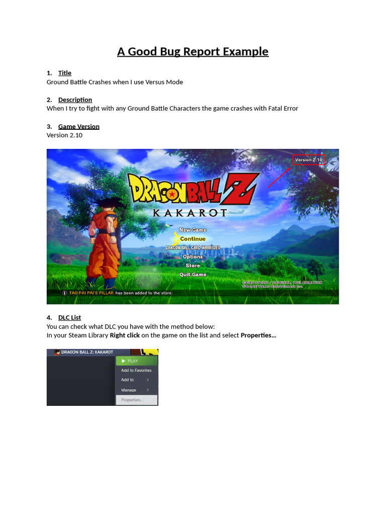 Bug Report Example | PDF