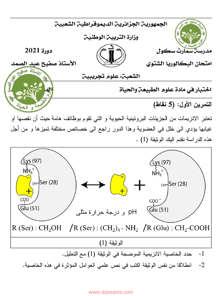 Dzexams 3as Sciences 3526648 | PDF | Ribosome | Ribosomal Rna