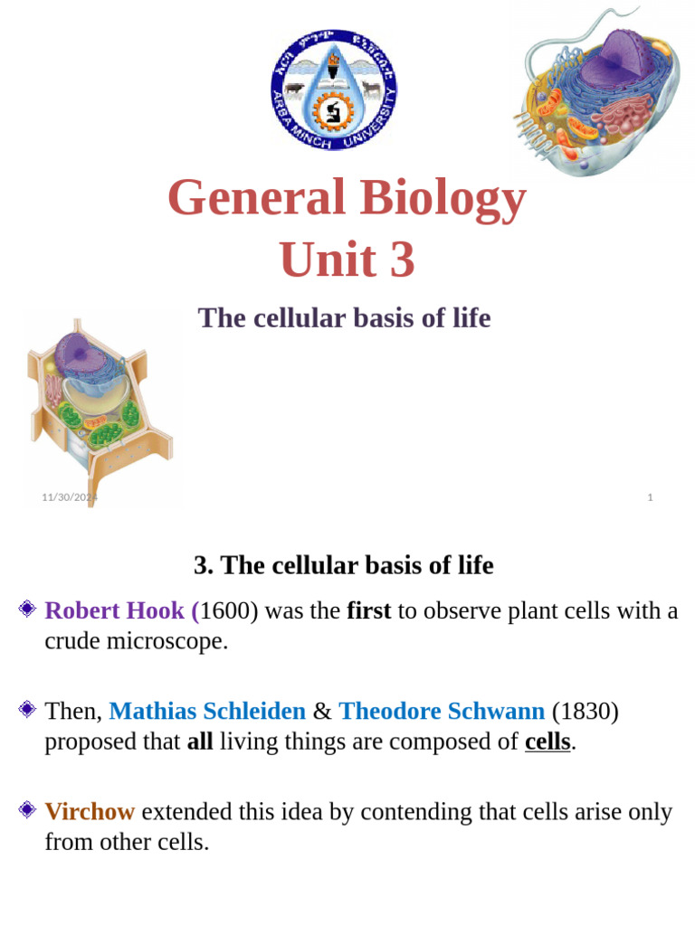 Unit 3 The Cellular Basis of Life | PDF | Endoplasmic Reticulum | Cell ...
