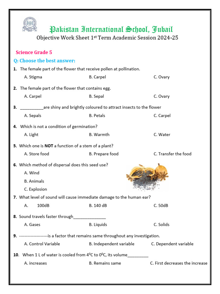 Grade 5 Science Objective Worksheet | PDF | Flowers | Water