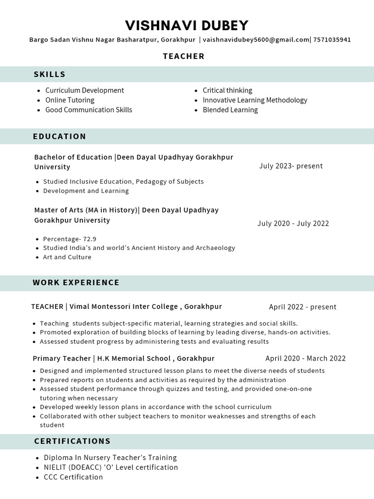 Entry Level Tech Professional Resume | PDF