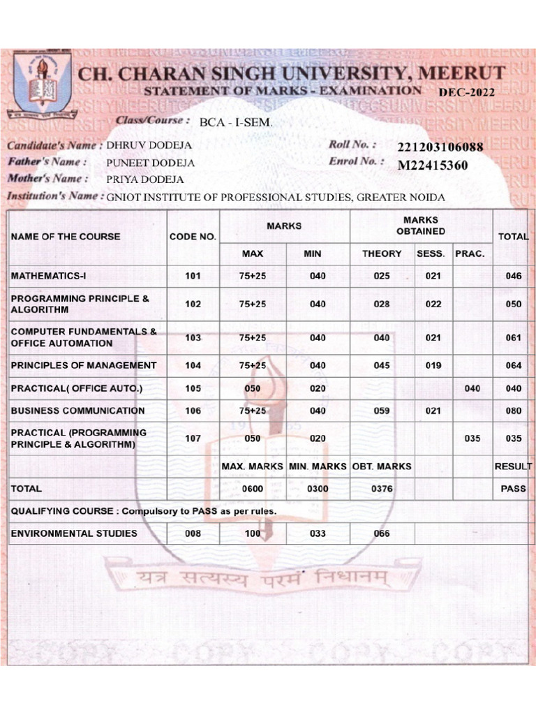 Dhruv BCA Marksheets | PDF
