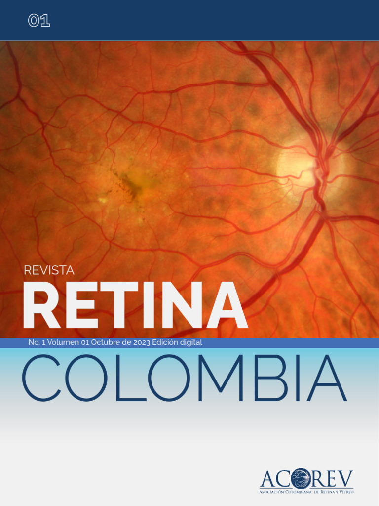 Revista Retina Colombia: Edición Octubre 2023 | PDF | Percepción visual ...
